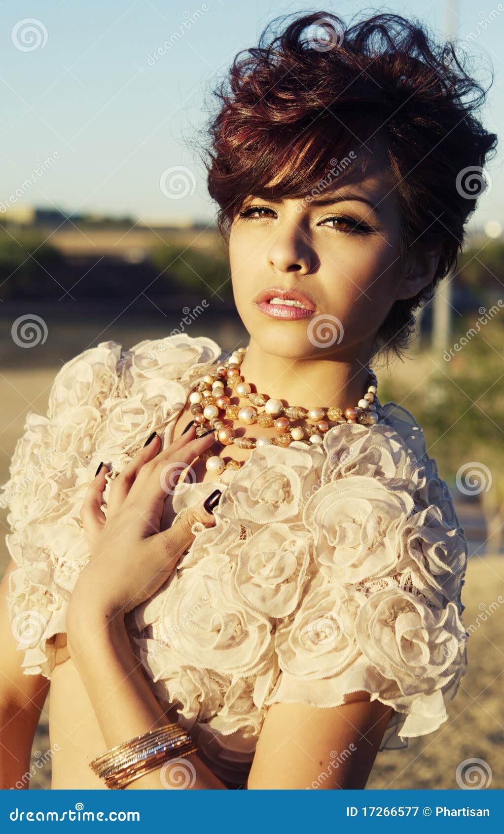 Beautiful Elegant Fashion Model Stock Image - Image of attire, party ...