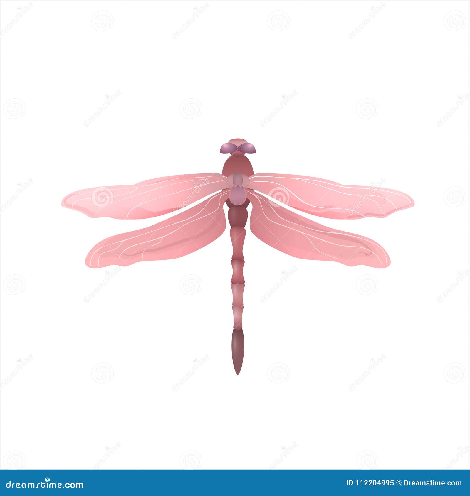 Beautiful Elegant Pink Dragonfly Stock Vector - Illustration of nature ...