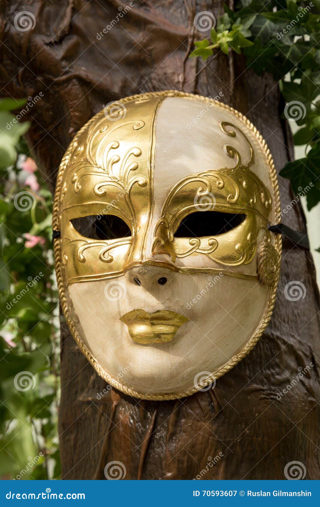 Beautiful Elegant Venetian Mask Stock Image - Image of culture, mystery ...