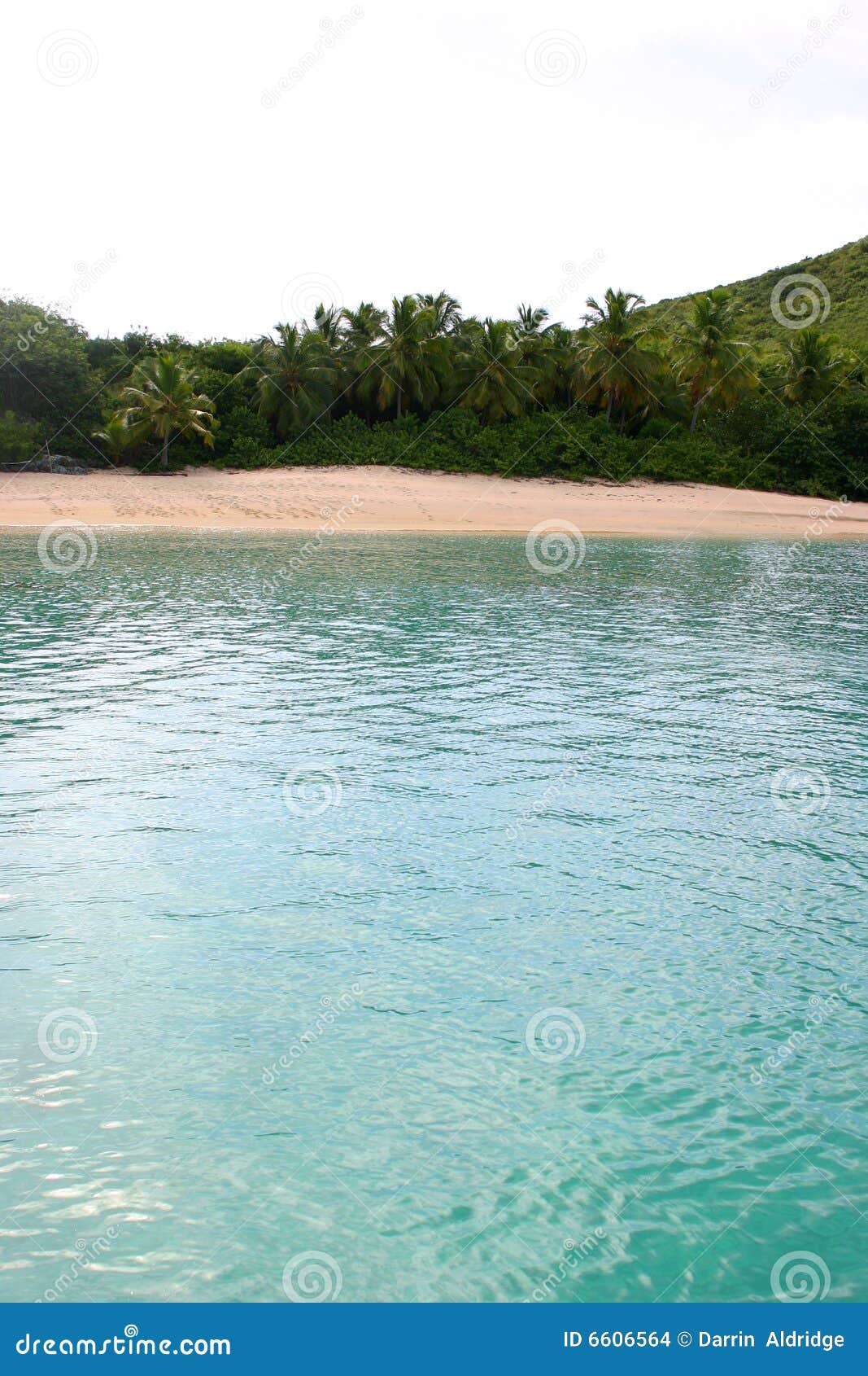 Beautiful Empty Beach stock photo. Image of palms, tropical - 6606564