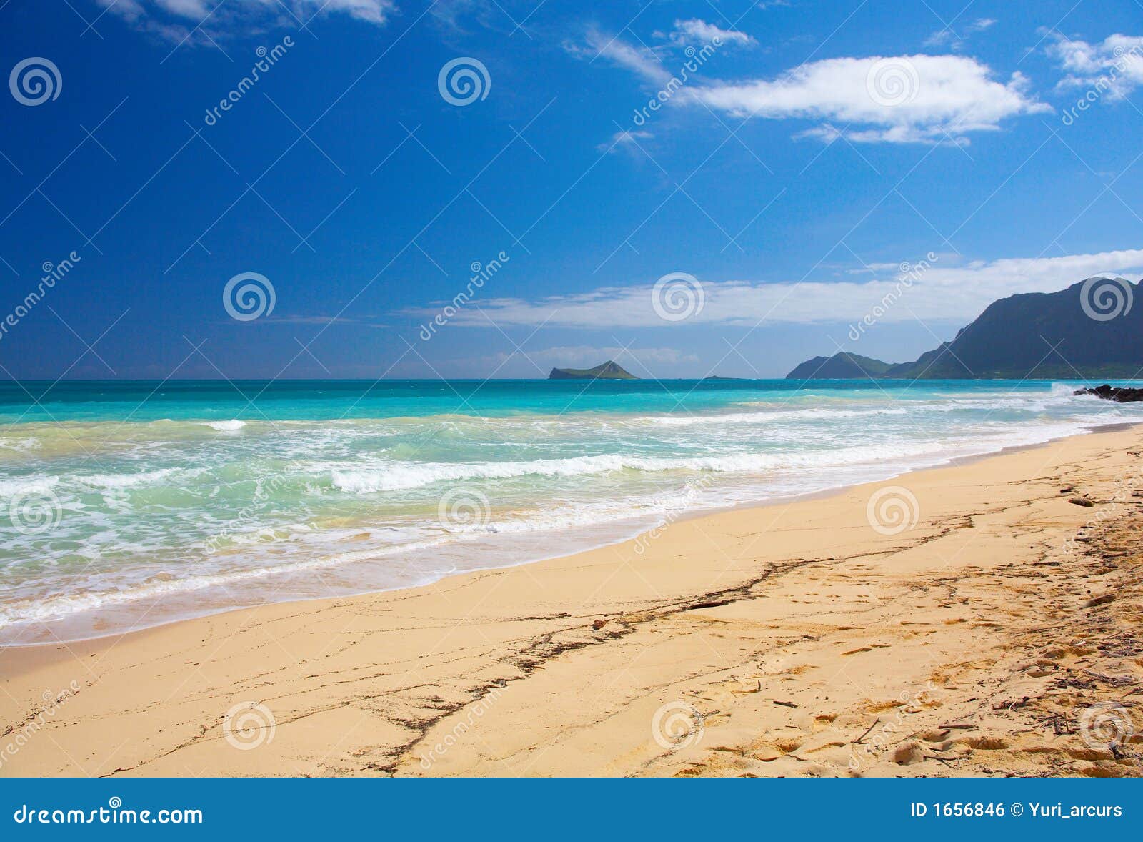 Beautiful Empty Beach In Hawaii Stock Photo - Image of beach, clear ...