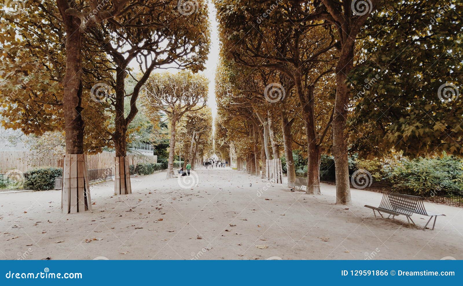 Beautiful Empty Garden, Tree Corridor, Empty Editorial Photo - Image of ...