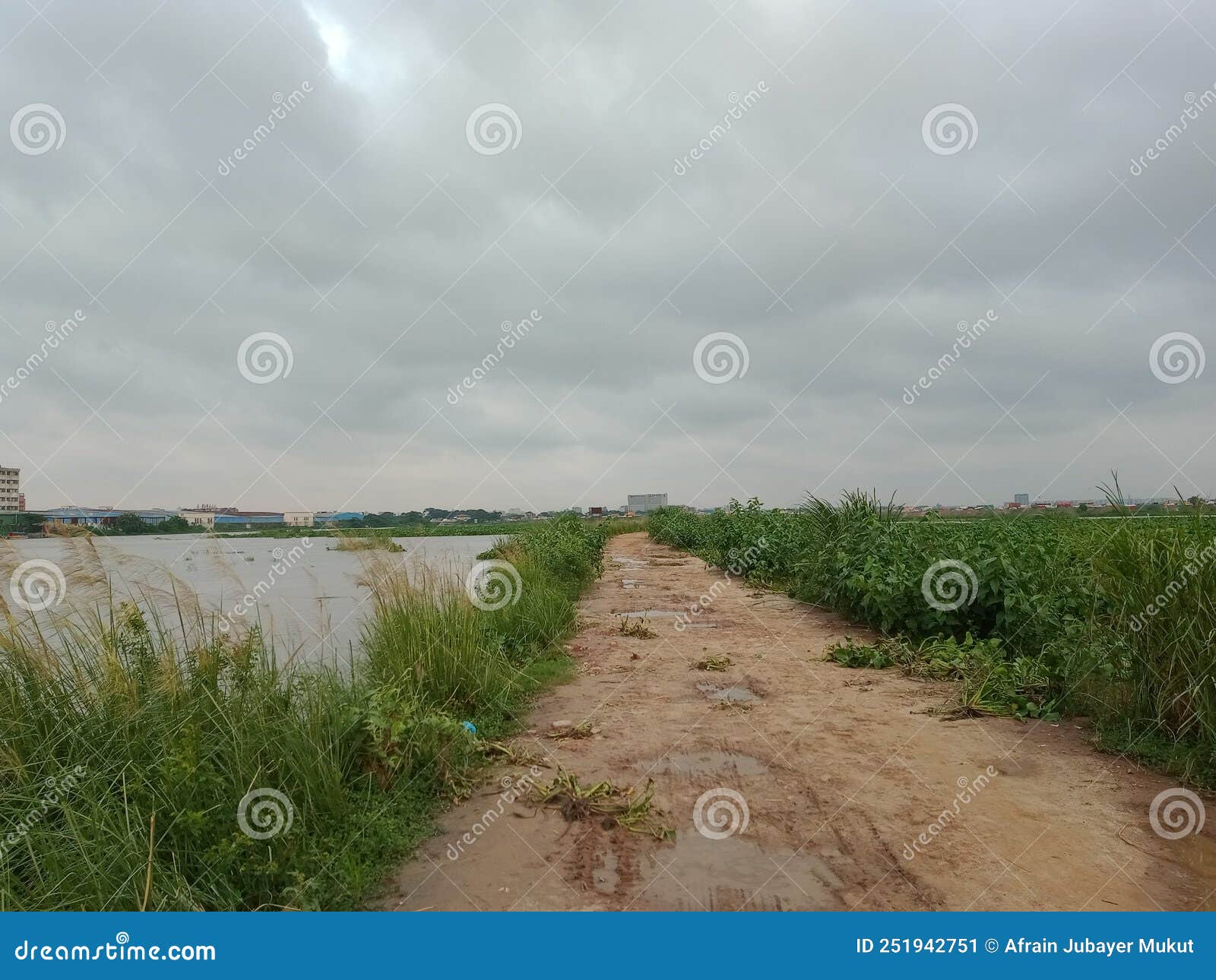 Beautiful Environment beside Turag River Stock Image - Image of ...