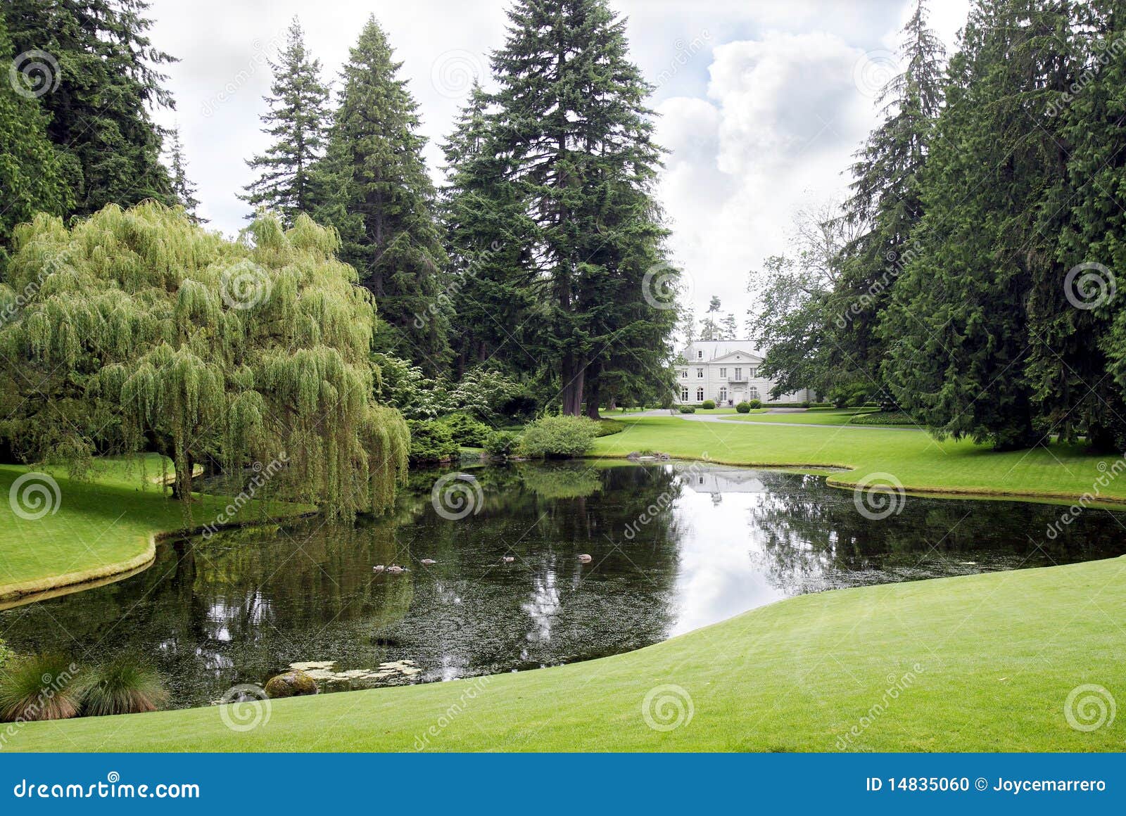 Beautiful Estate stock photo. Image of home, forest, beauty - 14835060