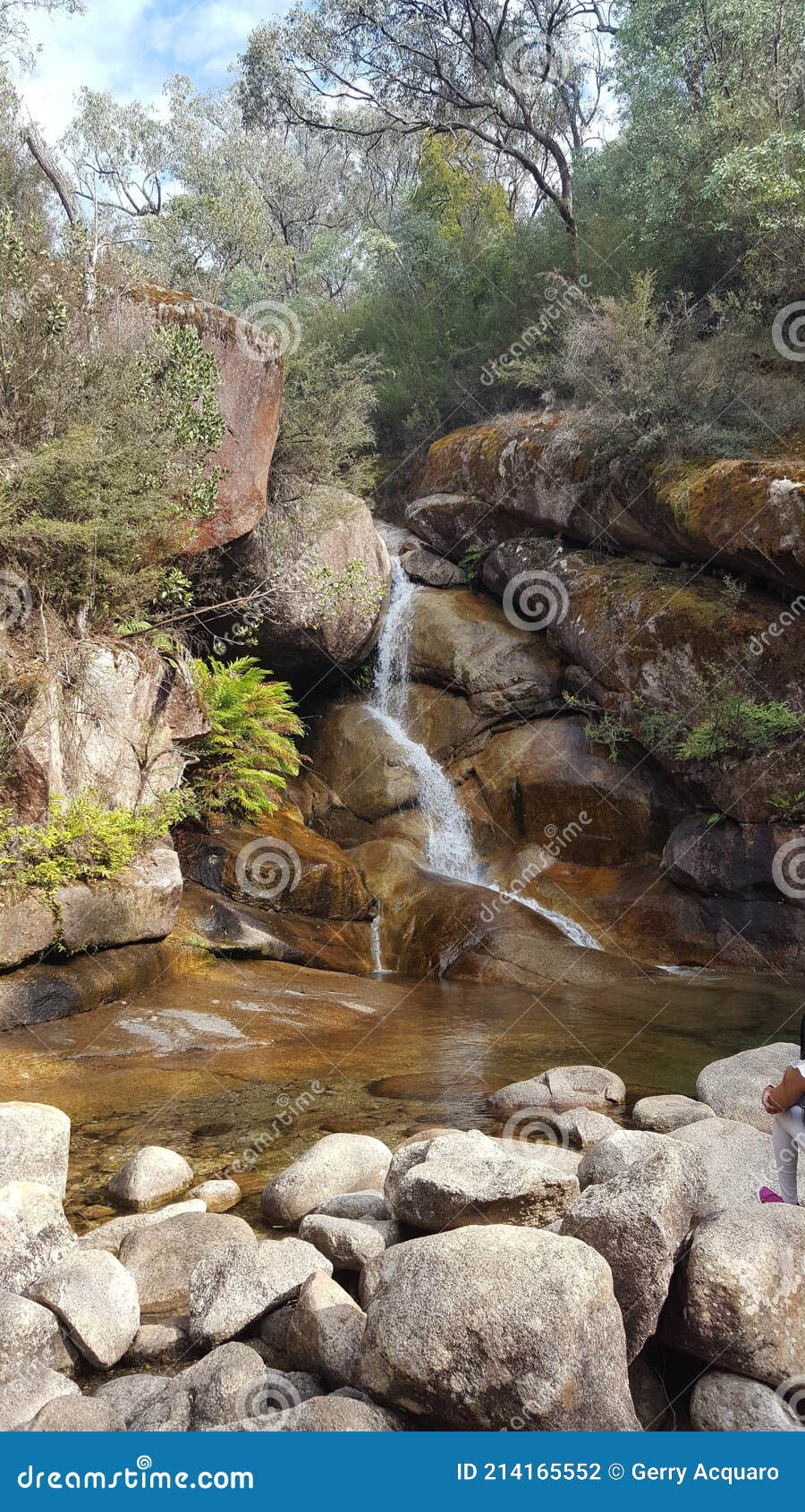 BEAUTIFUL Eurobin stock photo. Image of creek, rapid - 214165552
