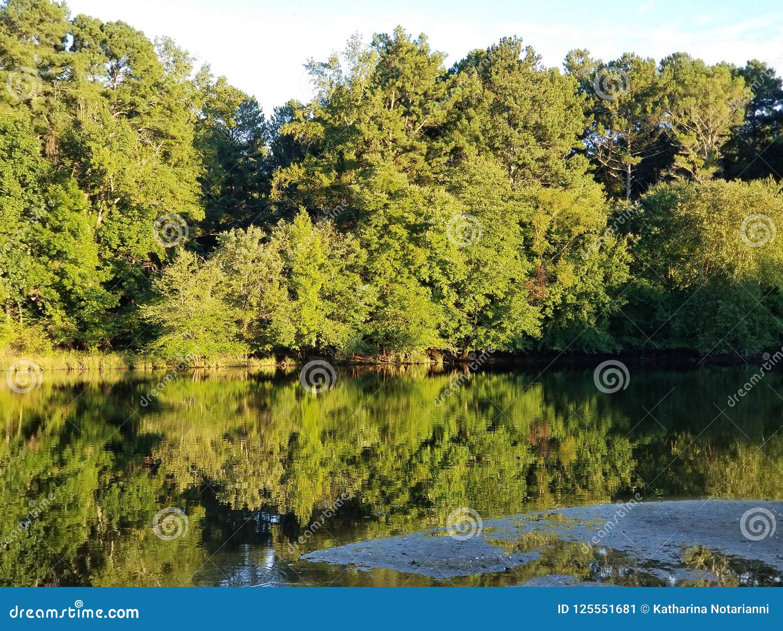 Beautiful Evening Lake Scenery with Reflection of Trees on Water Stock ...