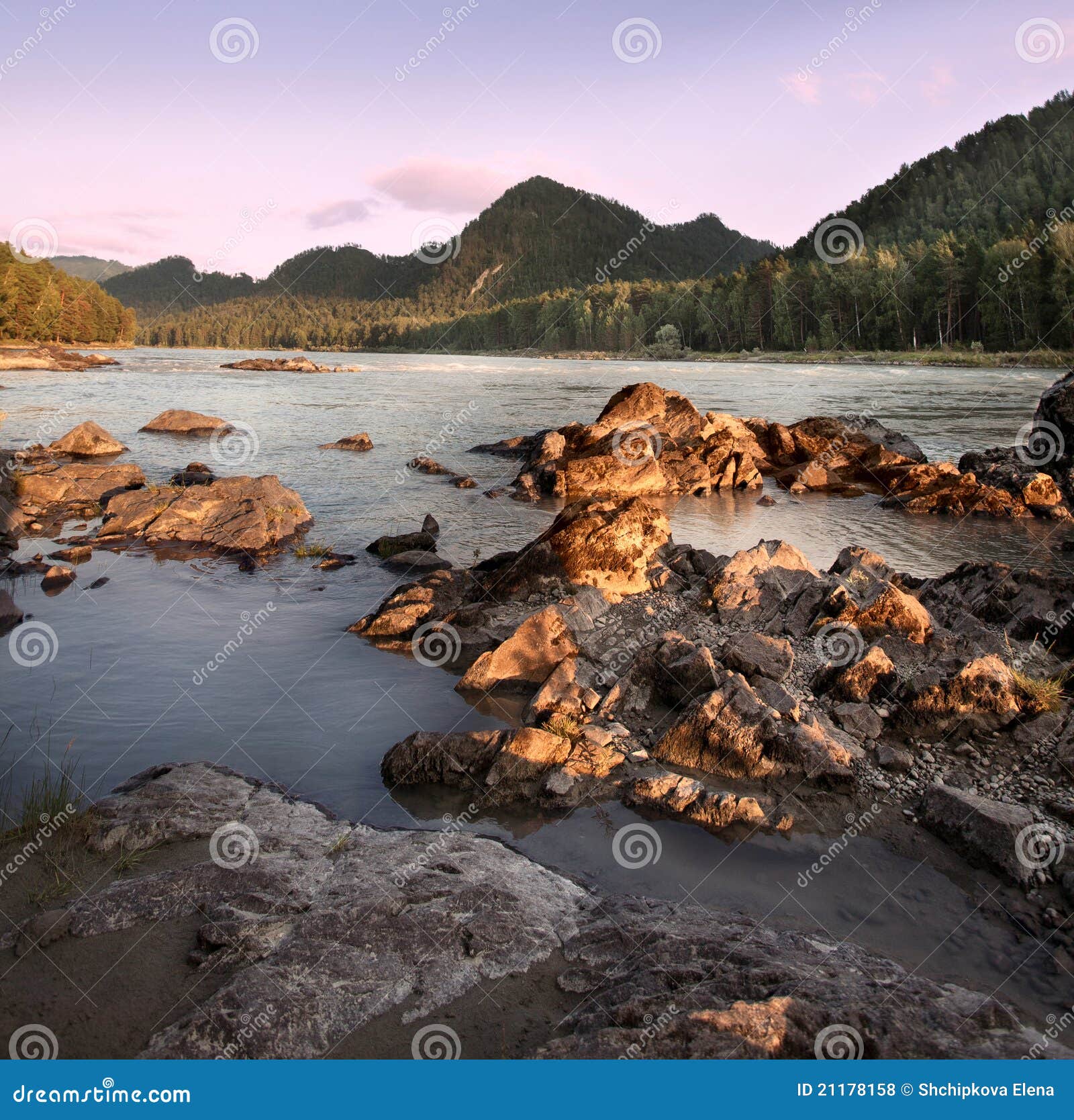 Beautiful Evening Landscape Stock Photo - Image of forest, sunrise ...