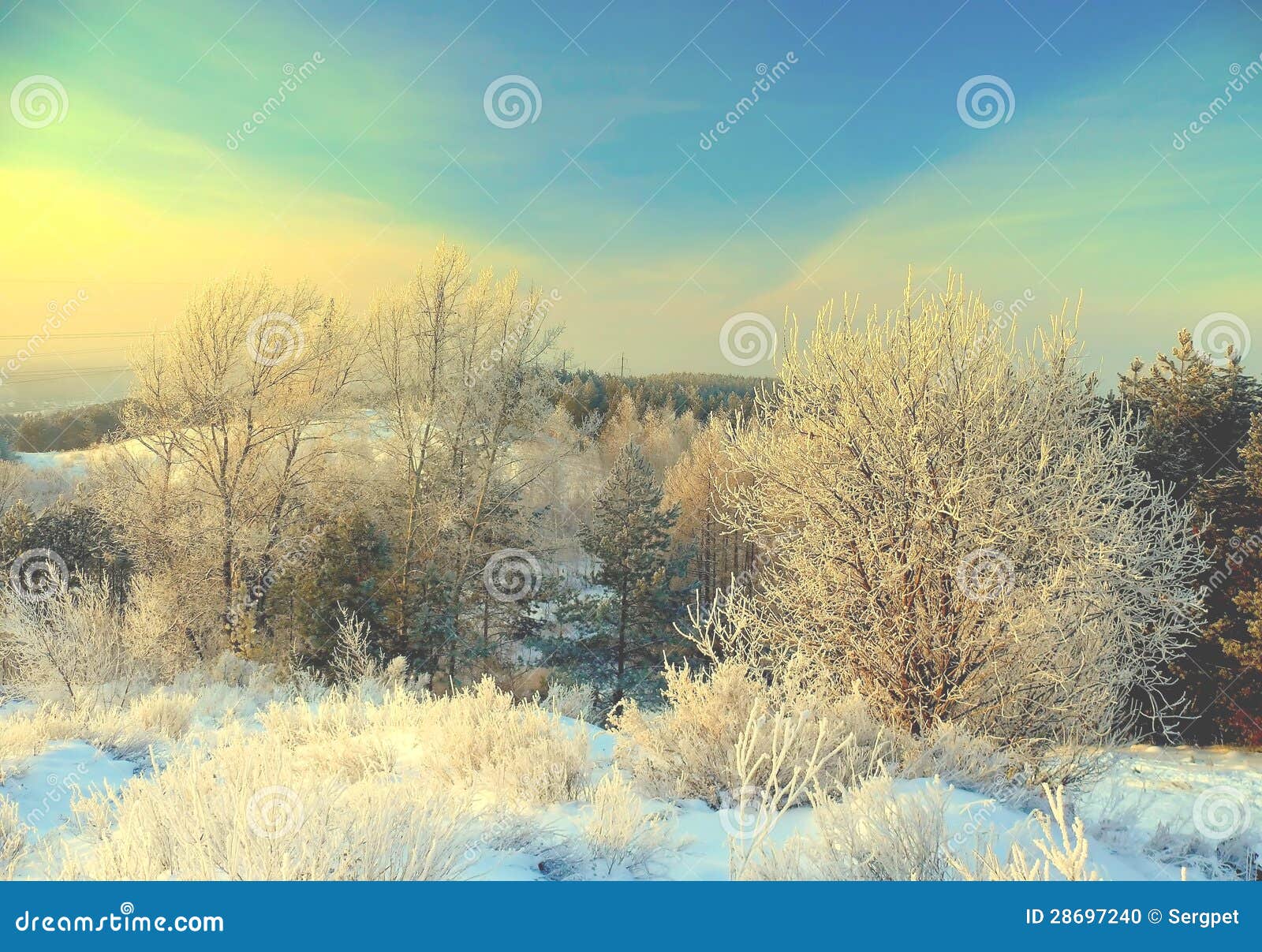Beautiful Evening Landscape Stock Photo - Image of green, pine: 28697240