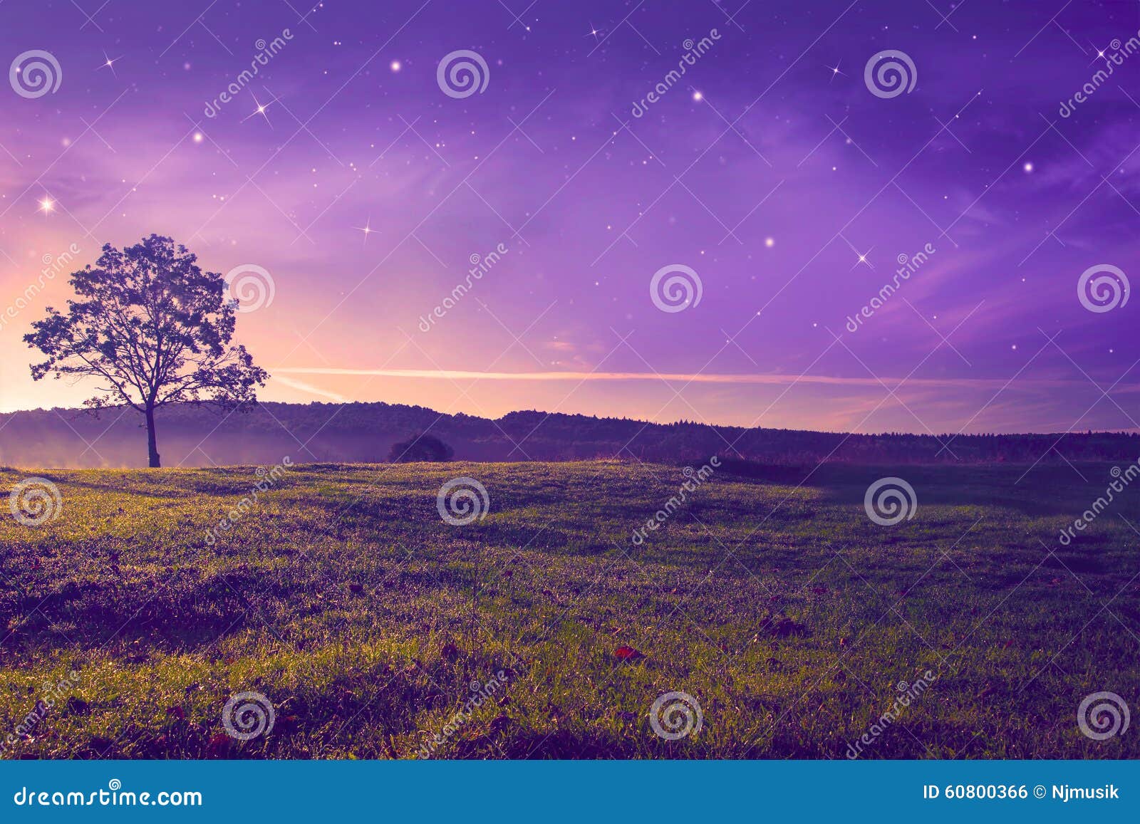 Beautiful Evening Landscape Stock Photo - Image of natural, morning ...