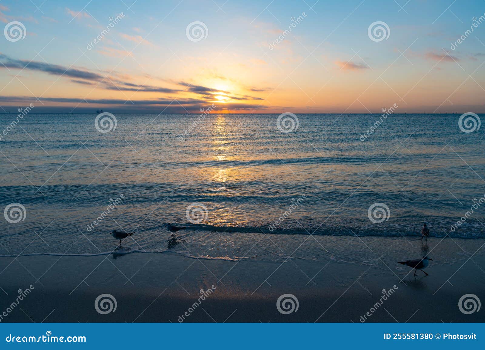 Beautiful Evening with Sea Water on the Summer Beach Stock Photo ...