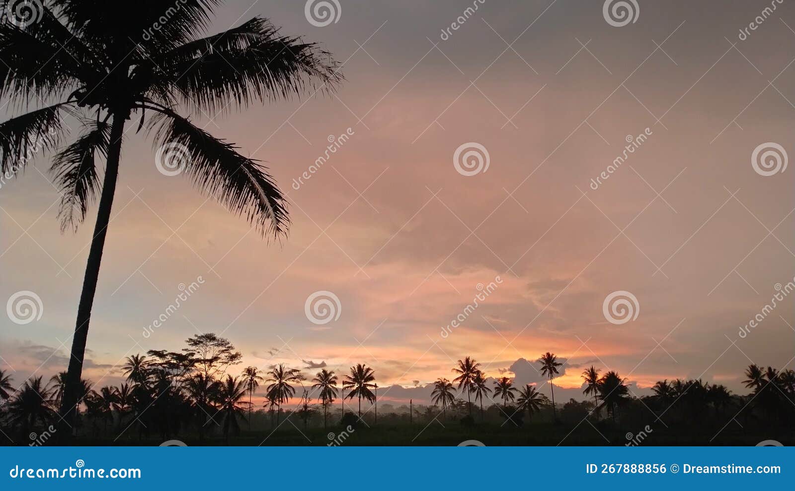 Beautiful evening sky stock photo. Image of afterglow - 267888856