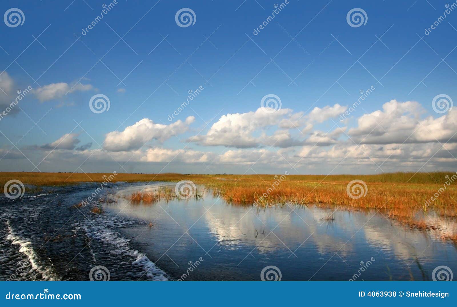Beautiful Everglades Landscape Stock Photo - Image of everglades ...