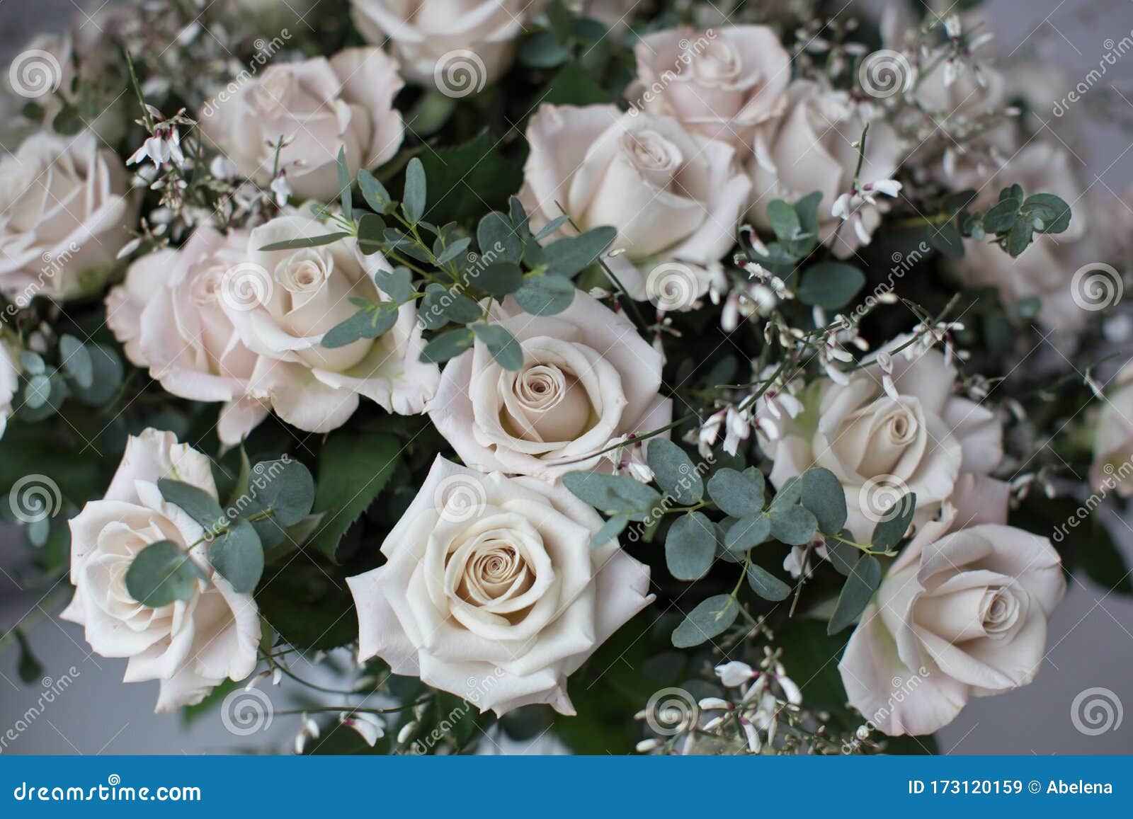 Beautiful exclusive roses stock image. Image of celebration - 173120159