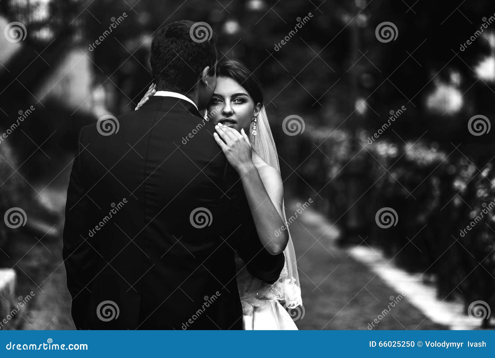 Beautiful Exotic Brunette Bride Hugging Handsome Groom In Park N Stock