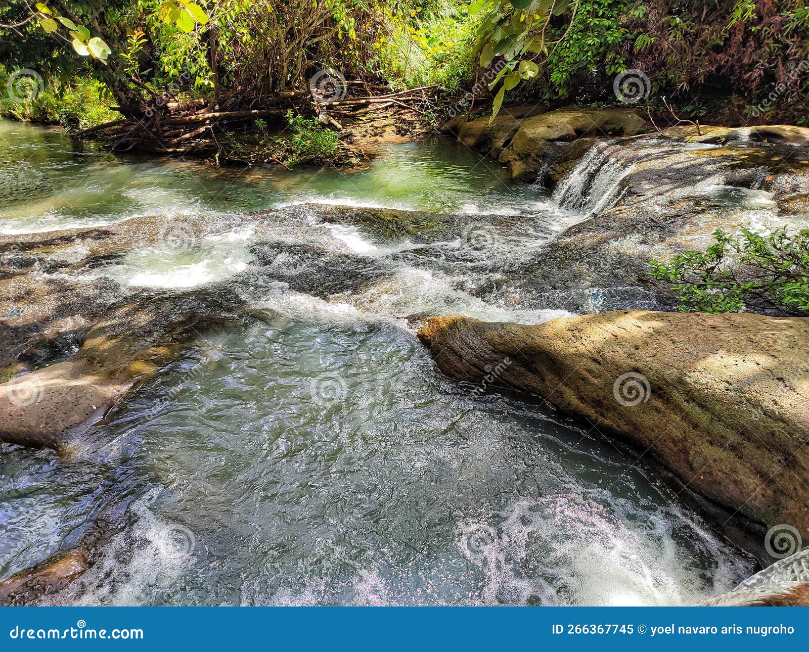 Beautiful and Exotic Kalimantan Forest River Channel Stock Image ...
