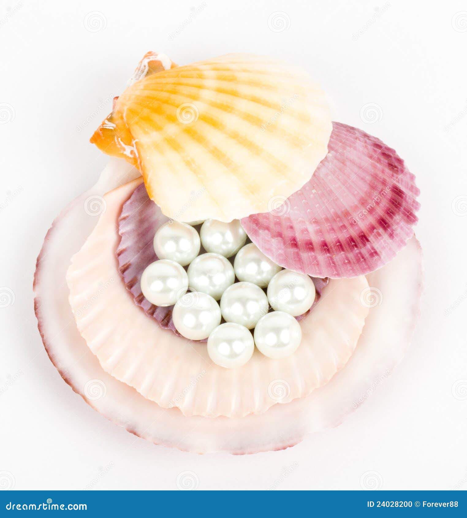 Beautiful Exotic Shell and Pearls Stock Photo - Image of granite, pink ...