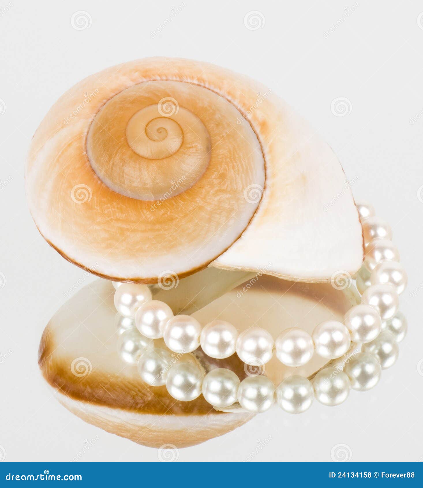 Beautiful Exotic Shell and Pearls Stock Photo - Image of beauty, relax ...