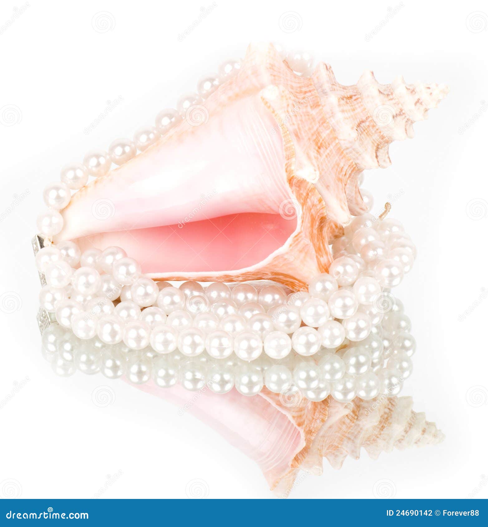 Beautiful Exotic Shell and Pearls Stock Photo - Image of ocean, nature ...