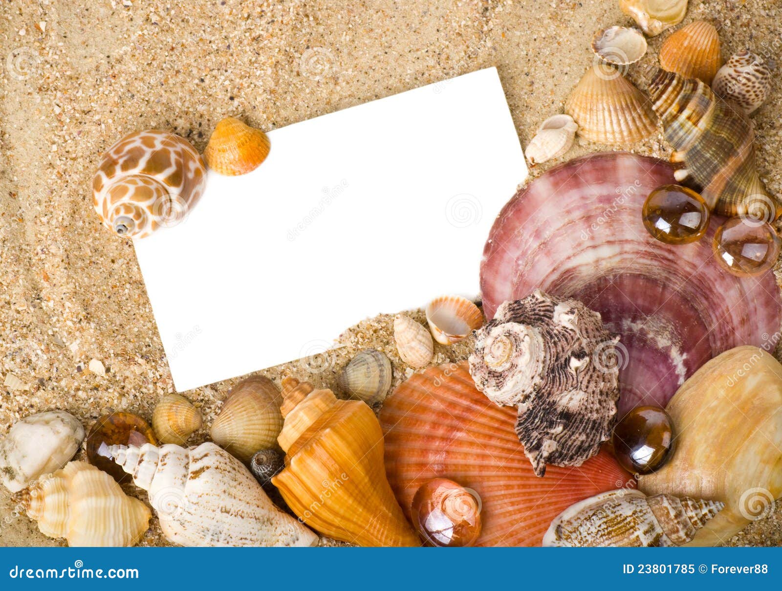 Beautiful Exotic Shell, Stones, Crystal Stock Image - Image of decor ...