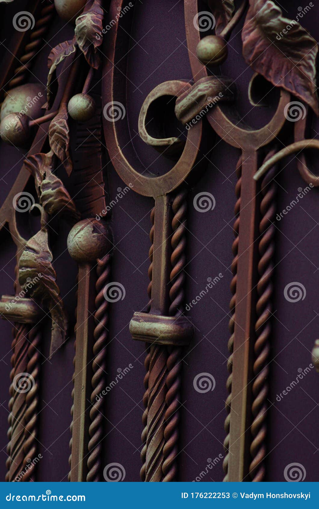 Beautiful Expensive Elements Forged Gates Stock Image - Image of craft ...