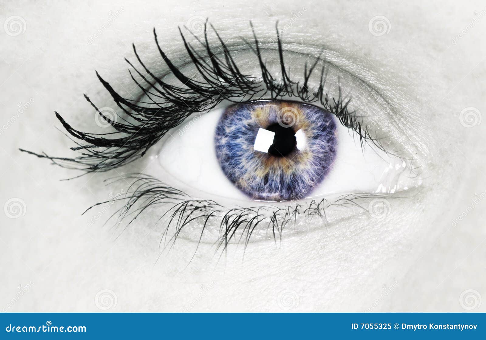Beautiful eye stock image. Image of human, view, woman - 7055325
