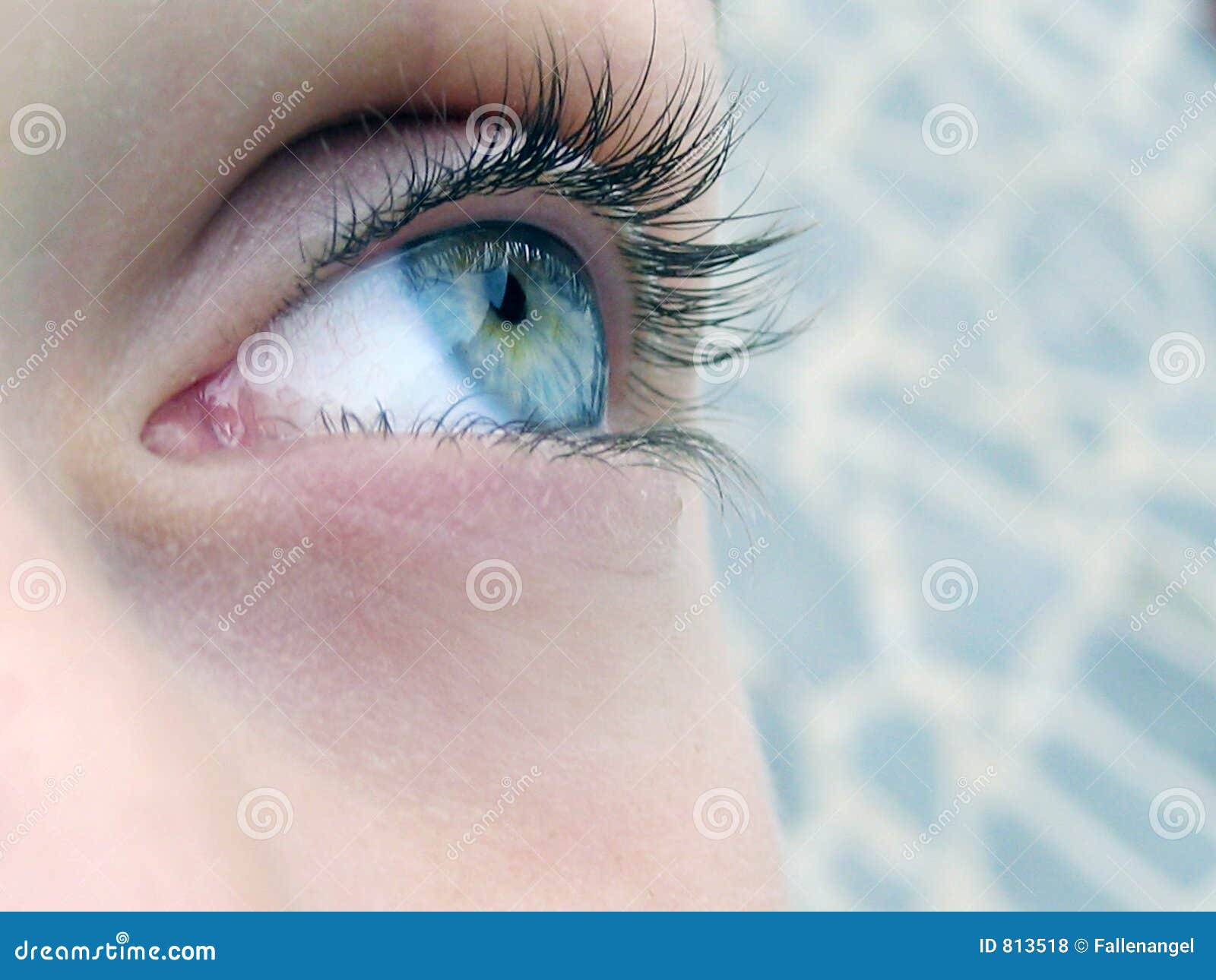 Beautiful eye stock photo. Image of reflection, pupil, ball - 813518