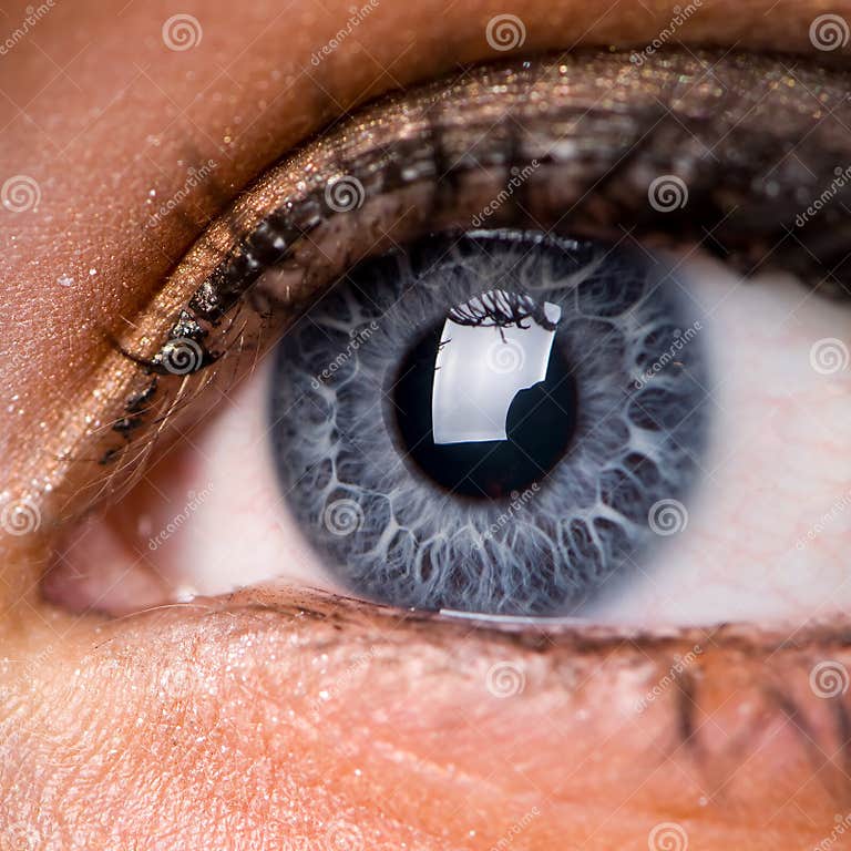 Beautiful eye close up stock photo. Image of unique, blue - 14298940
