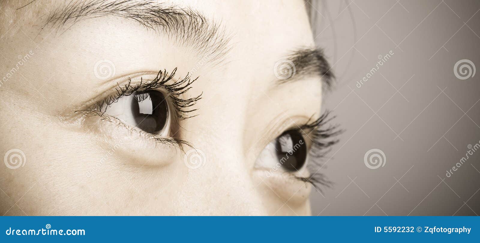 Beautiful eyeball stock photo. Image of asian, female - 5592232