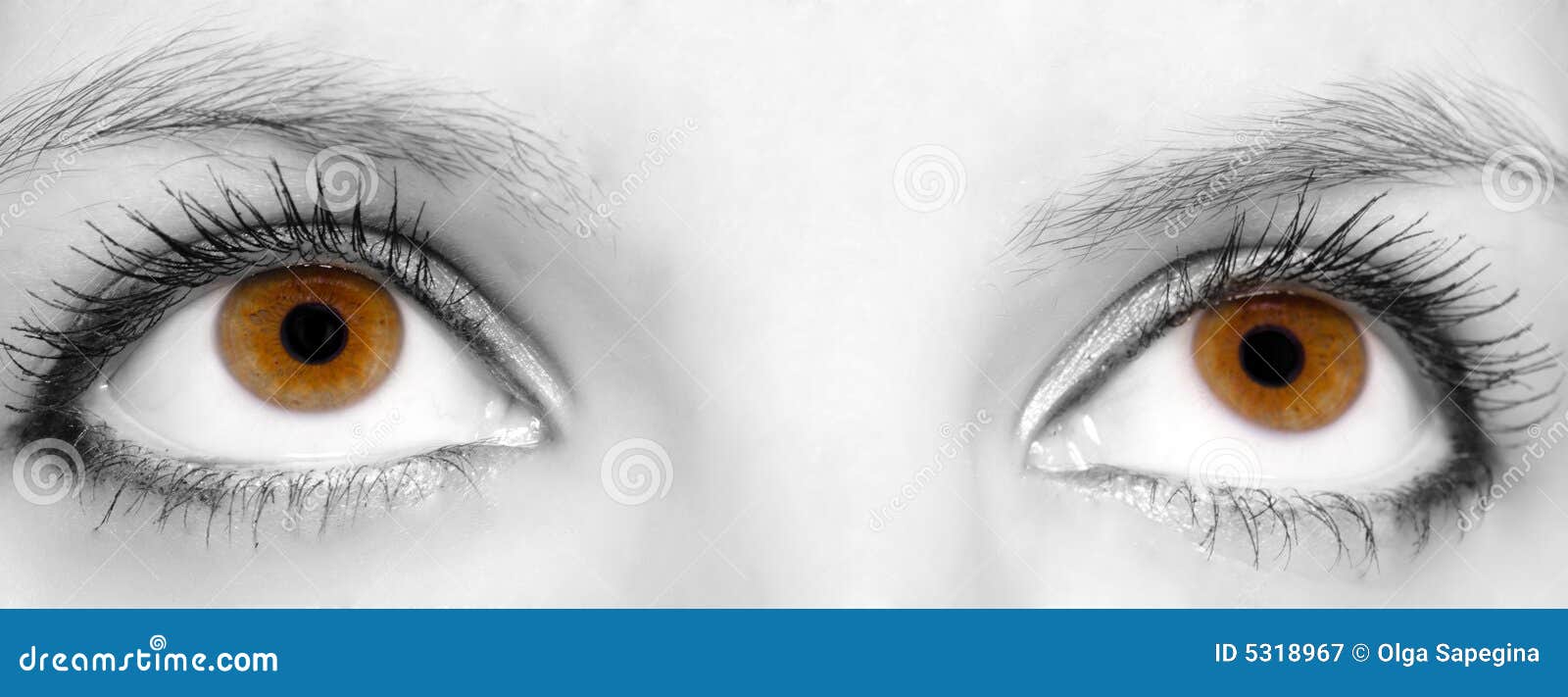 Beautiful eyes stock image. Image of macro, lovable, wide - 5318967