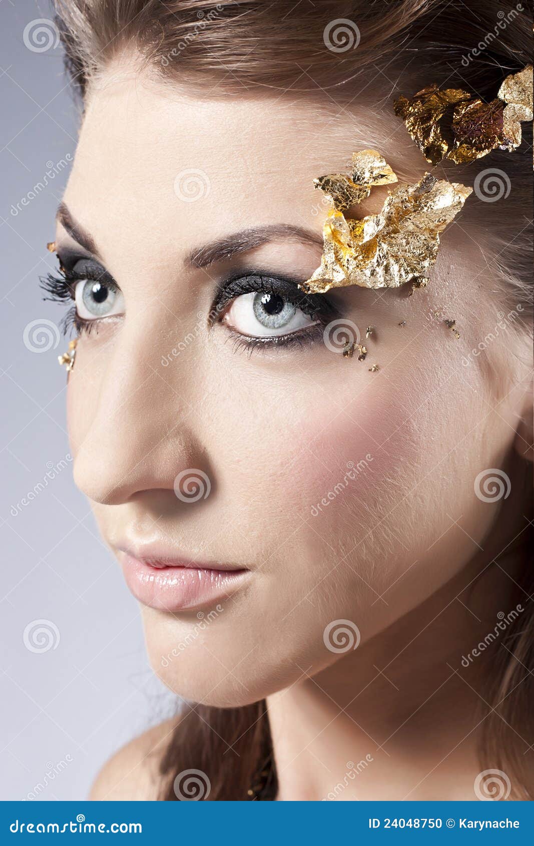 Beautiful Face.Perfect Makeup Stock Photo - Image of luxury, dark: 24048750