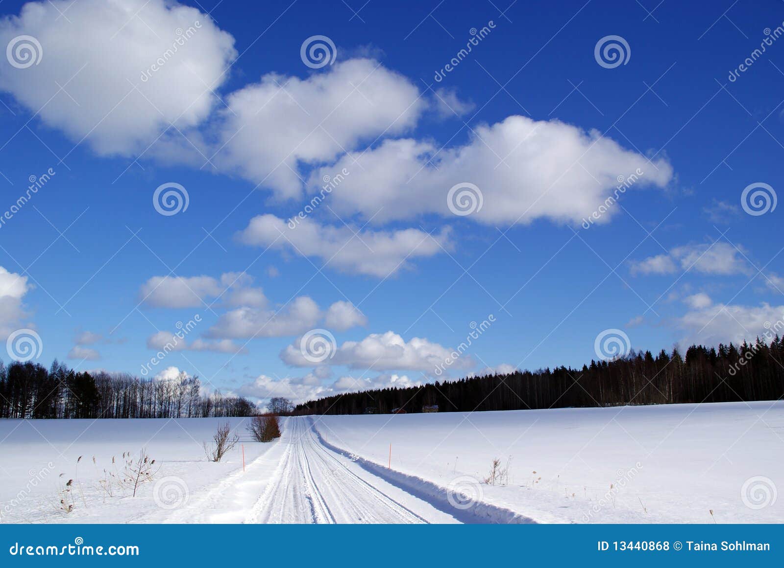 Beautiful Fair Weather Sky stock photo. Image of forest - 13440868