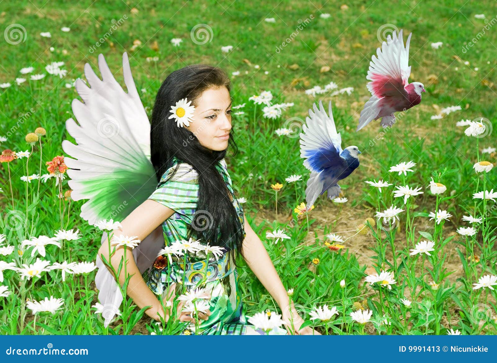 Beautiful fairy stock image. Image of beauty, beautiful - 9991413