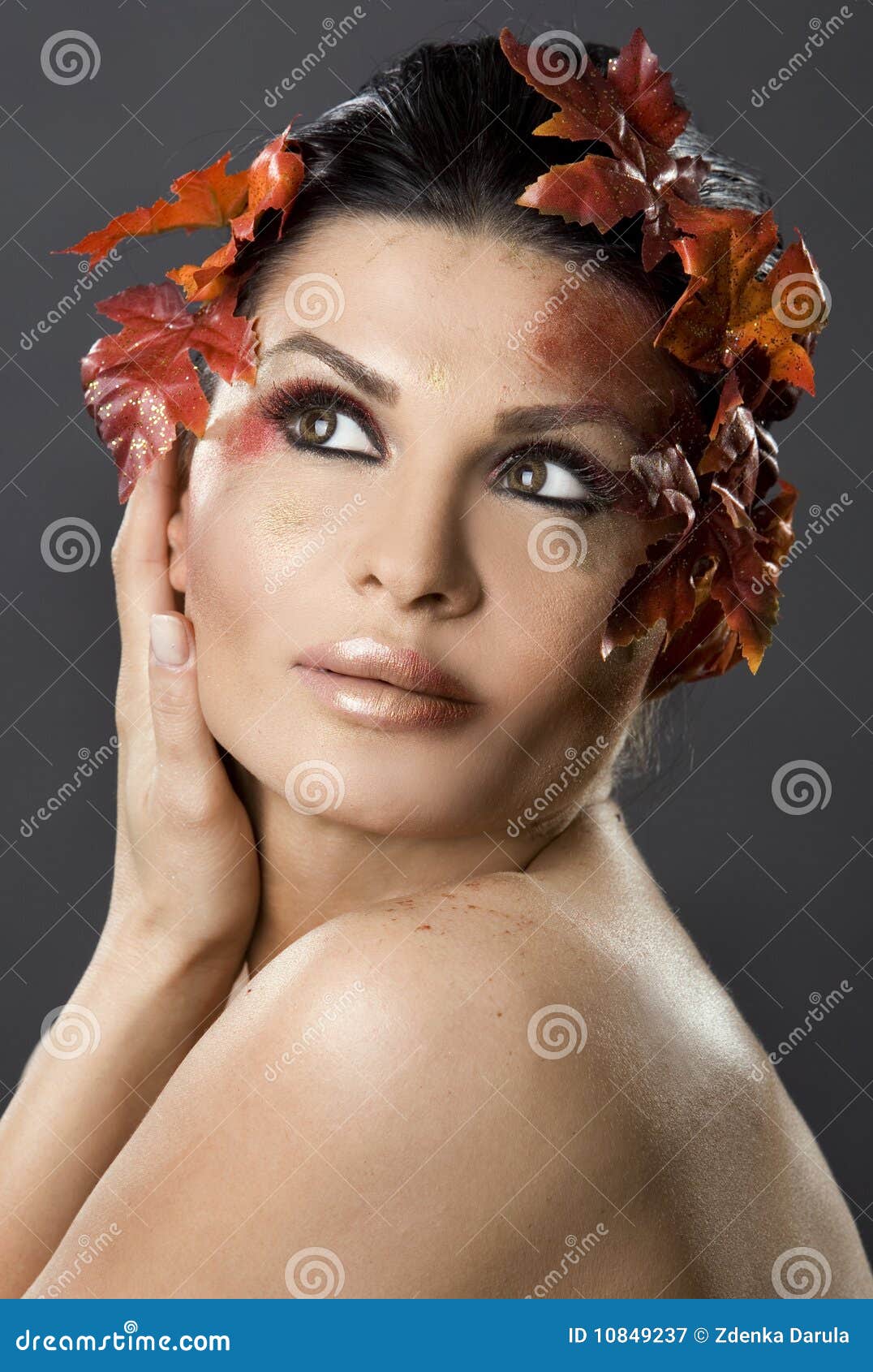 Beautiful fall stock image. Image of face, cosmetic, beauty - 10849237