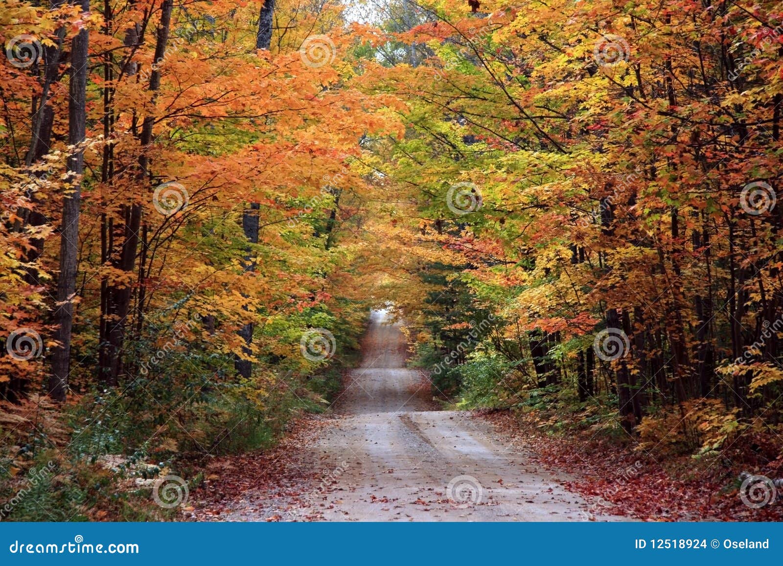 Beautiful Fall Color stock photo. Image of autumn, color - 12518924