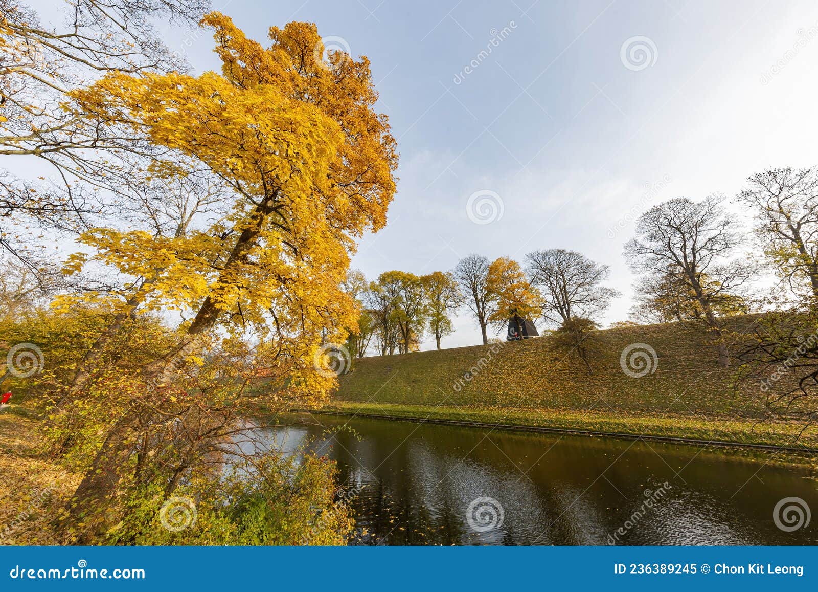 Beautiful Fall Color in the Famous Copenhagen Stock Image - Image of ...