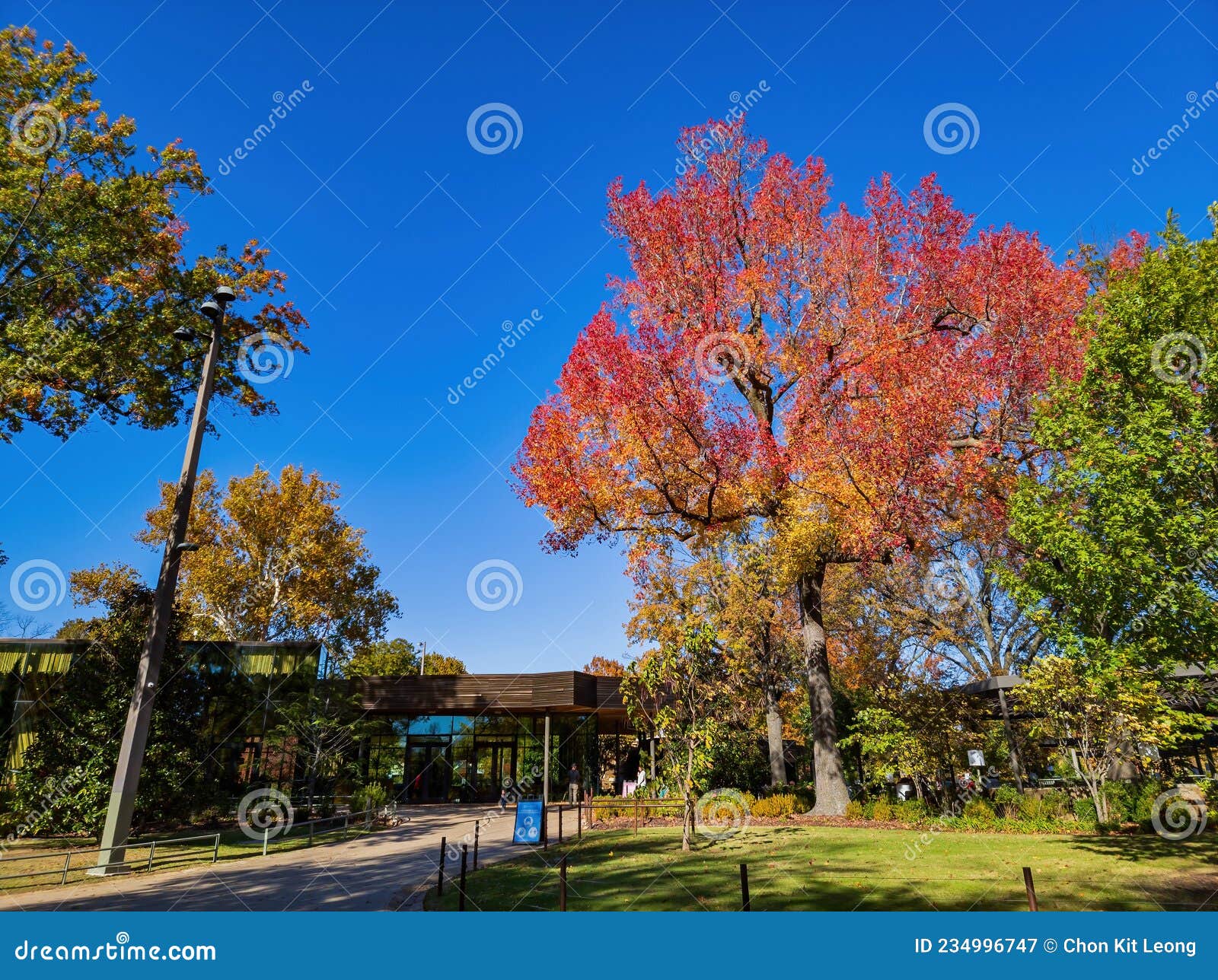 Beautiful Fall Color of the Gathering Place Stock Image - Image of ...