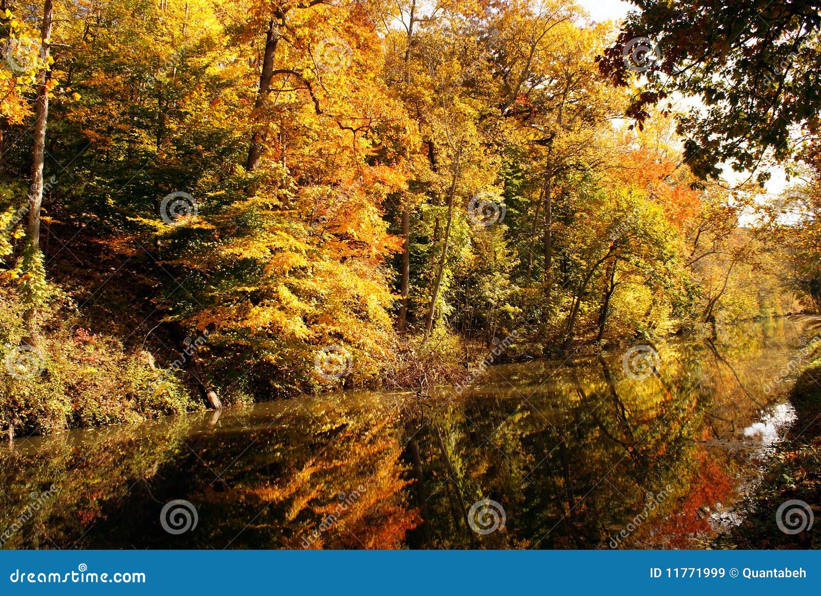 Beautiful fall colors stock image. Image of woods, trees - 11771999