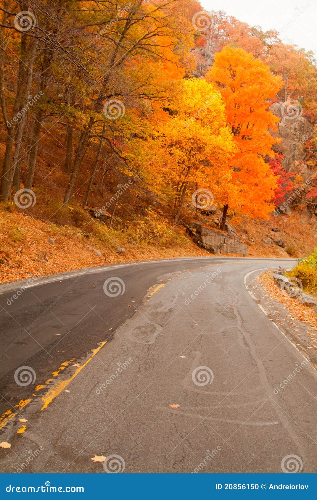 Beautiful Fall Colors by the Country Road. Stock Photo - Image of ...