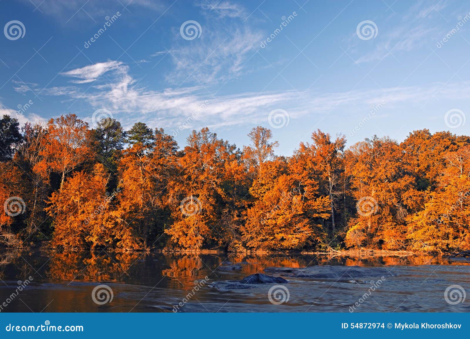 Beautiful Fall Colors Forest Stock Photo - Image of foliage, scenic ...