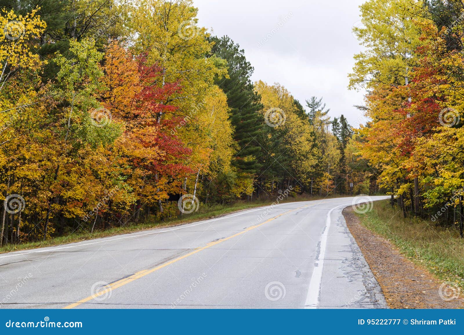 Beautiful Fall Colors in Michigan Stock Image - Image of color, october ...