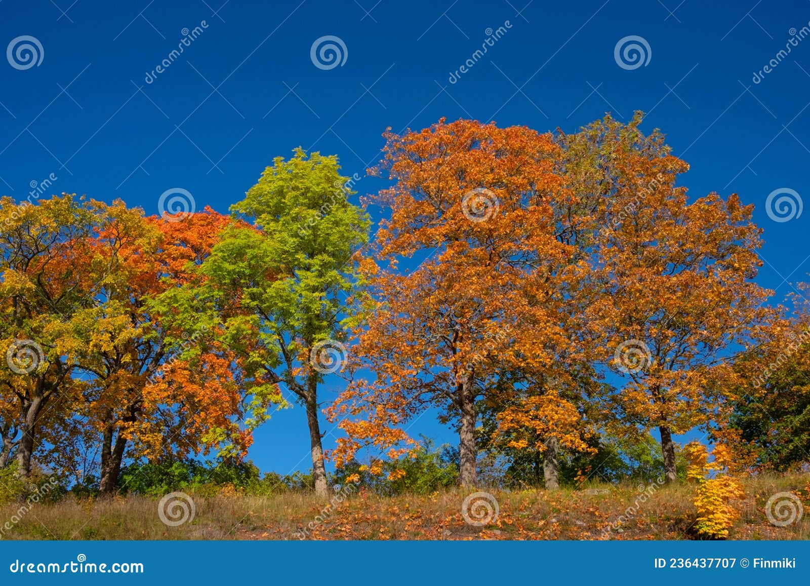 Beautiful Fall Colors in Naantali, Finland Stock Image - Image of ...