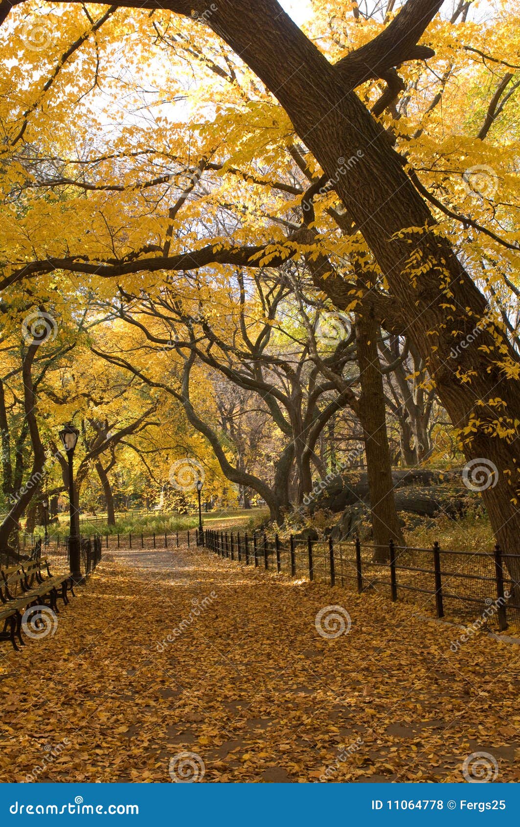 Beautiful Fall Day stock photo. Image of lane, yellow - 11064778