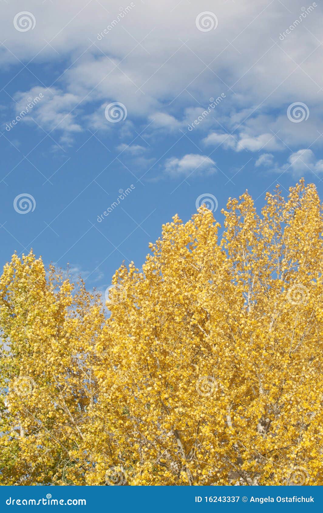 Beautiful fall day stock image. Image of america, yellow - 16243337