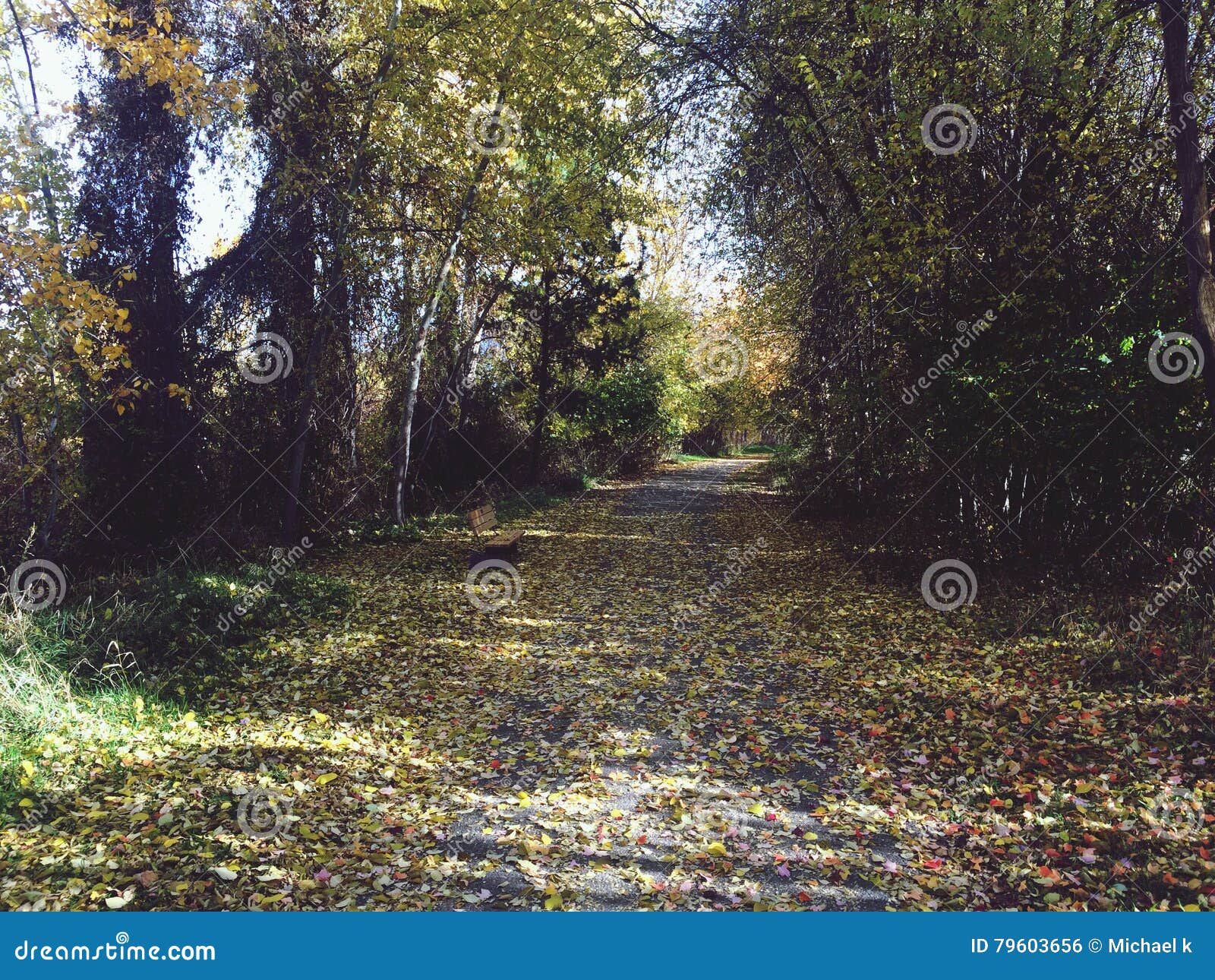 Beautiful fall day! stock photo. Image of fall, autumn - 79603656