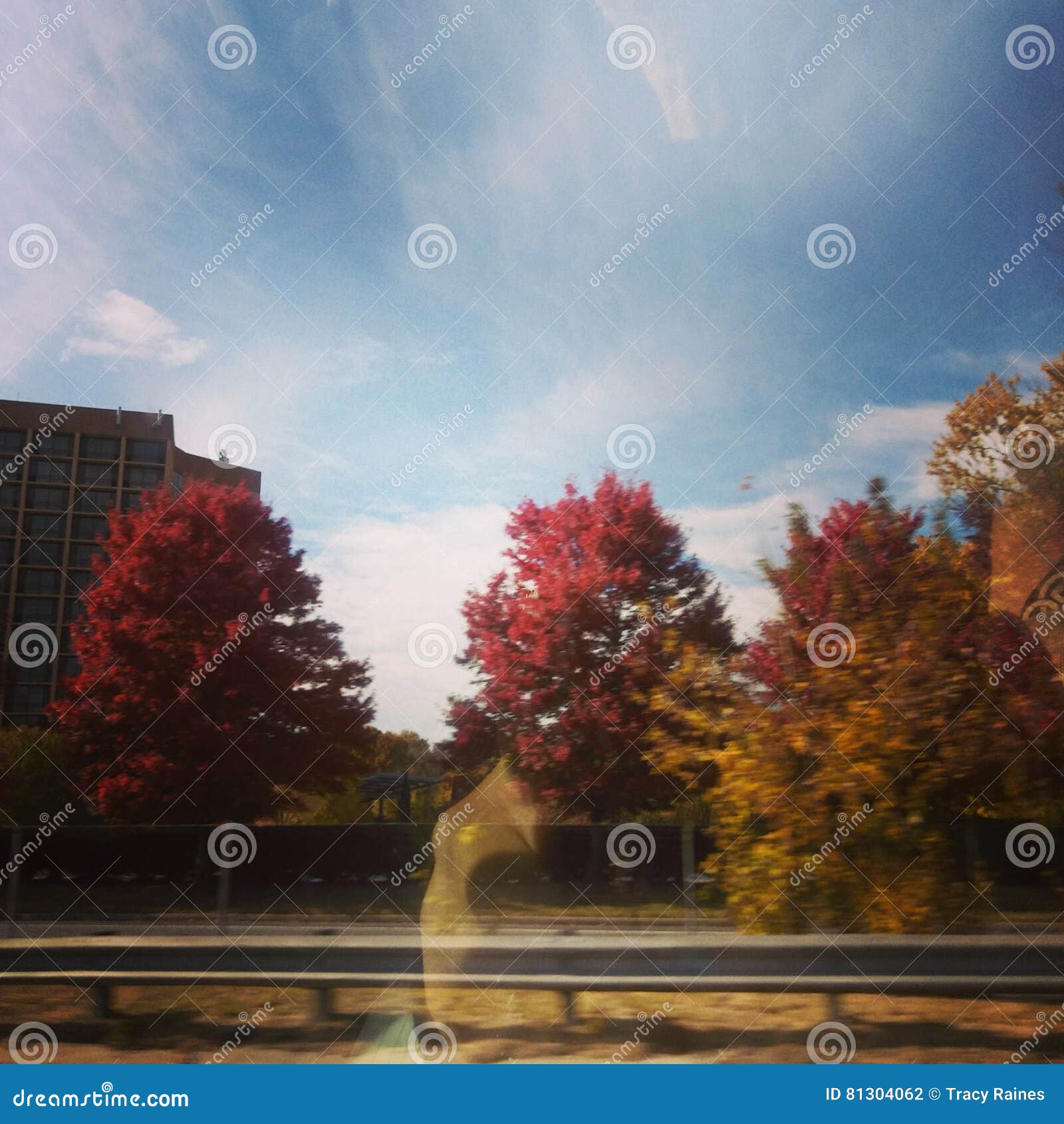 Beautiful fall day stock photo. Image of tree, daytime - 81304062