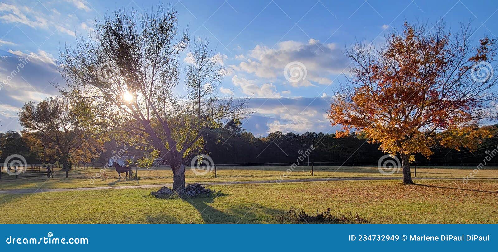Beautiful Fall Day on the Farm Stock Image - Image of farm, bright ...