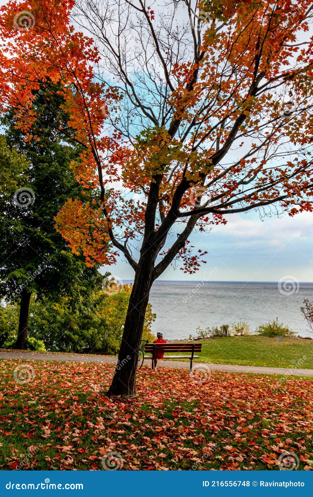 Beautiful Fall Day To Relax by the Lake - Fall in Central Canada, on ...