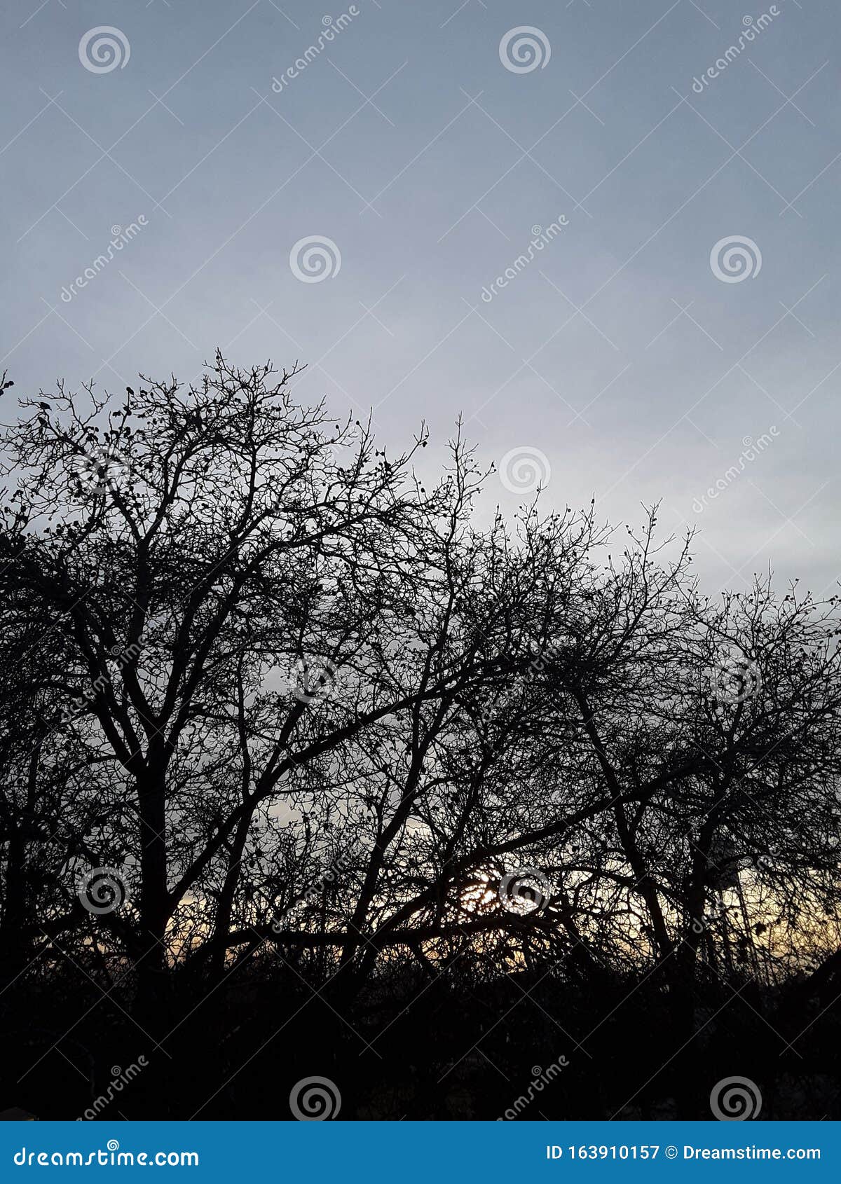 Beautiful fall evening stock image. Image of fall, evening - 163910157