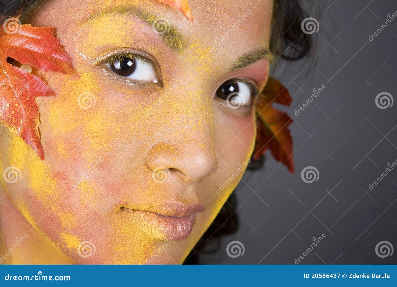 Beautiful fall face stock image. Image of beauty, pretty - 20586437