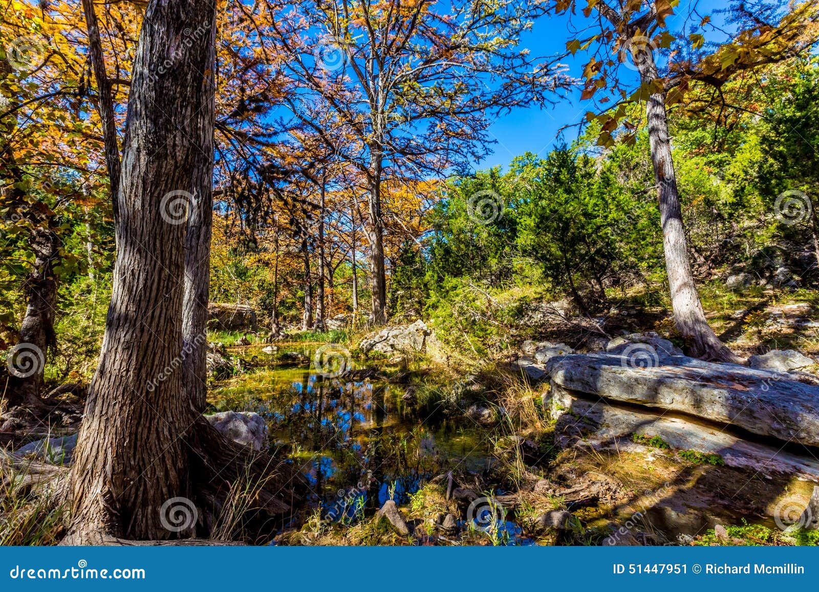 Beautiful Fall Foliage on Hamilton Creek, Texas. Stock Image - Image of ...
